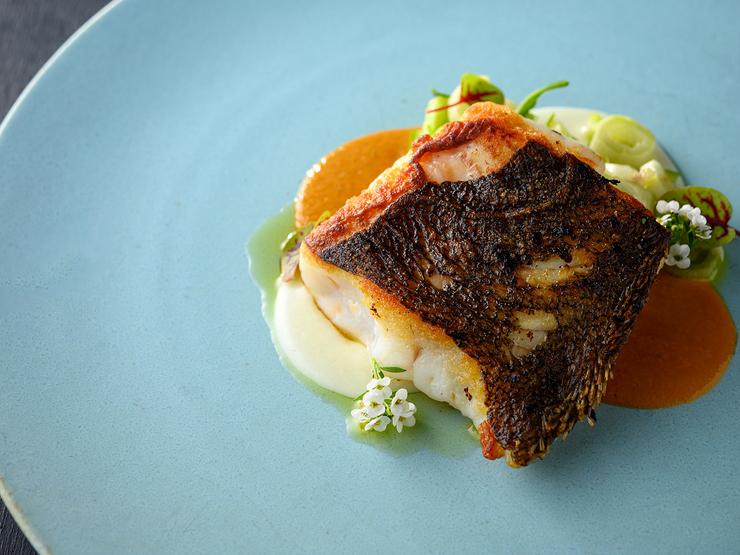 HATO in Hatsudai, Tokyo - SAVOR JAPAN