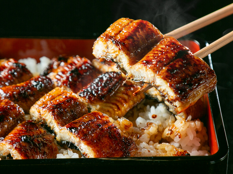 Zaimon KOGIN Reservation in Nagahama/Maibara/Japanese - SAVOR JAPAN