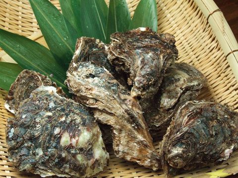 Shellfish, Seafood Cuisine Kaizen Ichigaya in Ichigaya, Tokyo - SAVOR JAPAN