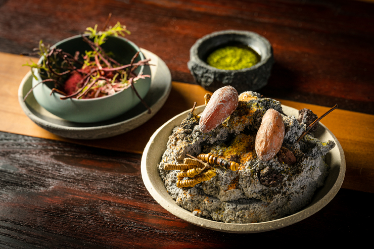 MAZ in Nagatacho/Other countries - SAVOR JAPAN